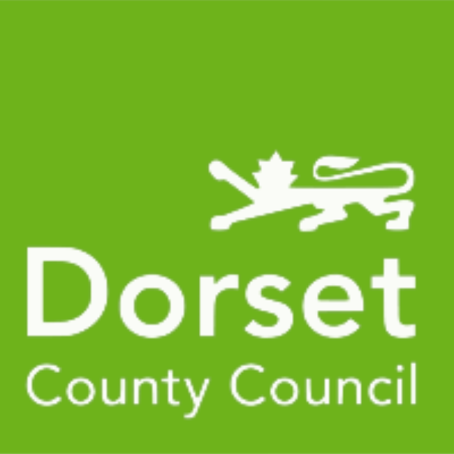Case Study: Dorset County Council's Highway Assets Efficiently Managed ...